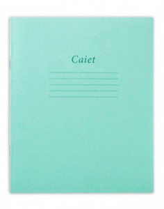 CAIET 12 foi linie oblica (25)