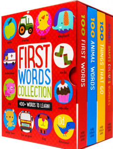 First 100 Board Book Box Set (4 Books): First 100 Words / Numbers ...