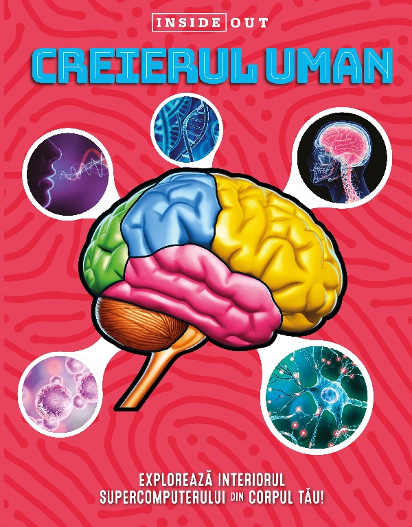 Creierul uman – model 3D | Carte